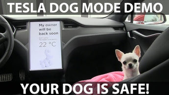 Tesla Dog Mode: How to Keep Your Pet Safe and Comfortable – Yeslak