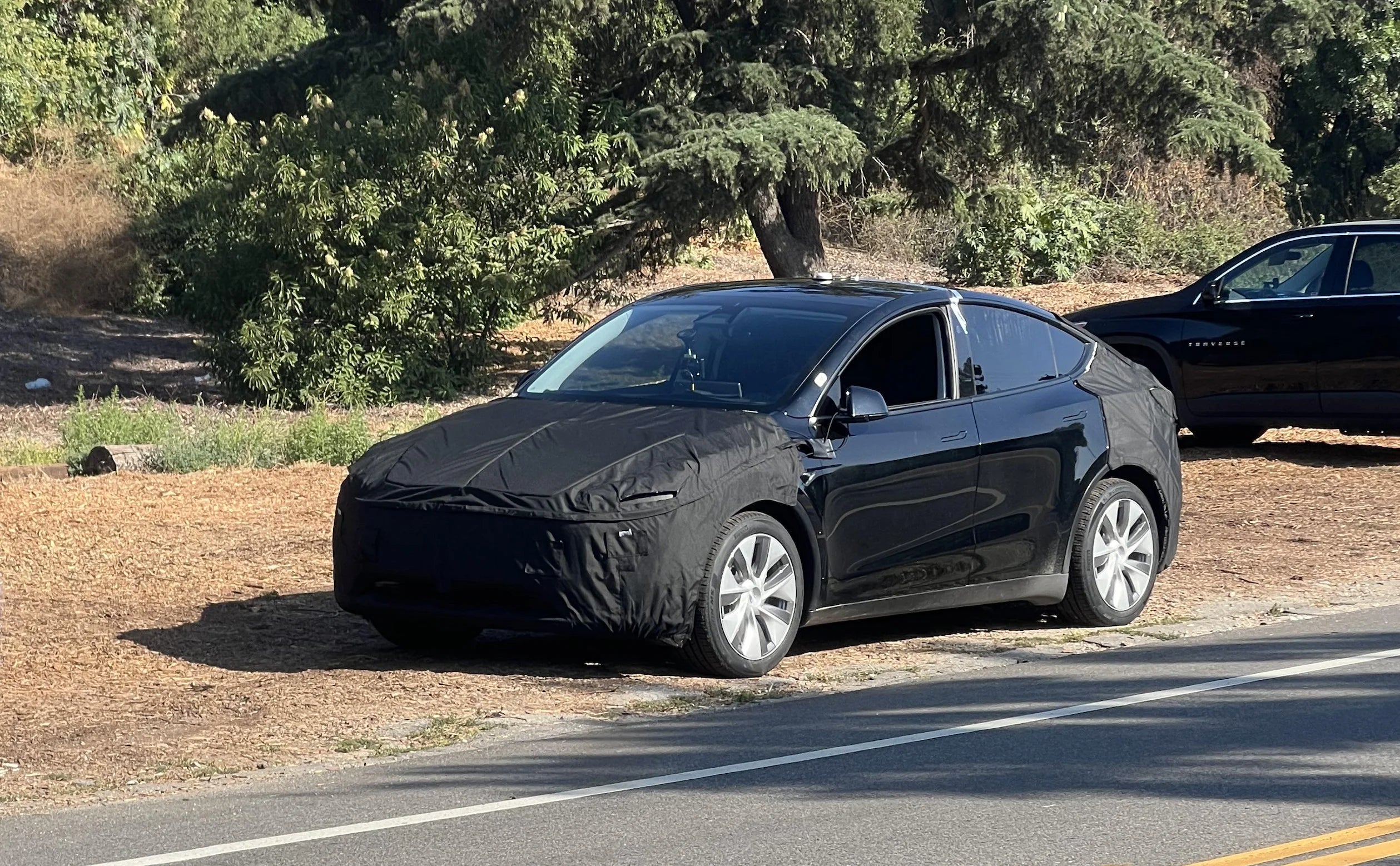 Tesla Model Y Juniper Spotted for the First Time: Expected Release Next ...
