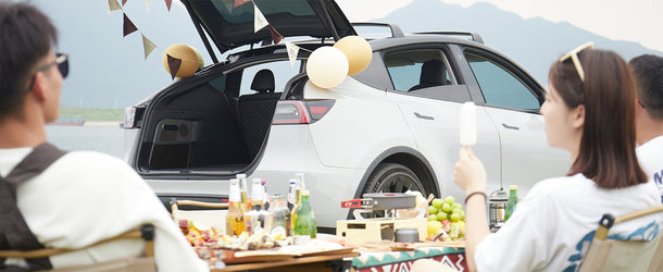 Tesla Model Y Car Refrigerator (2020+) | 15L, 12V/16V, Silent Cooler ...